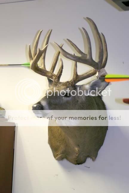 Pics of Joe Meder Offset Full sneak | Archery Talk Forum