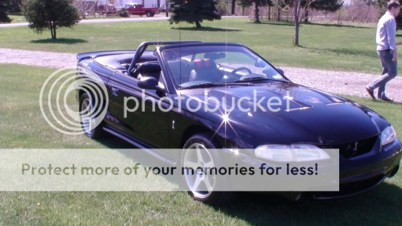 97 Cobra Triple Black Vert Turbo Termi 700+ RWHP | Ford Power Stroke Nation